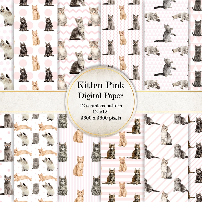 Cat Papers - Etsy