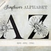 Sunflower Alphabet SVG, Letters A-Z Monogram, Font PNG Image, Alphabet ...