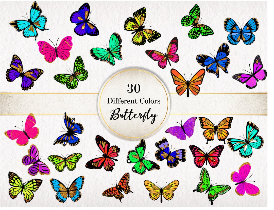 Glitter Butterfly Clipart: Colorful PNG Images (commercial Use) - Etsy