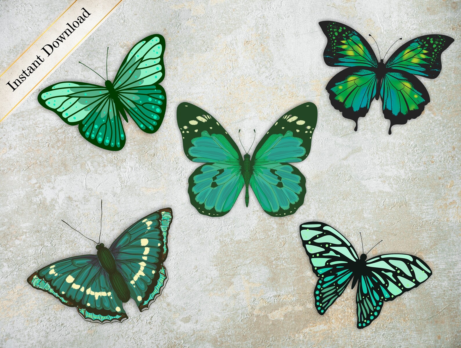 Mint Green Butterfly Clipart: PNG Graphics Image Pack (commercial Use ...