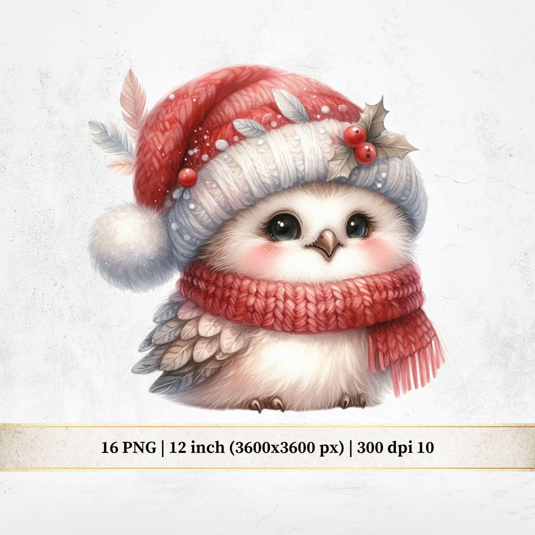 Watercolor Christmas Baby Owl Clipart: Cozy Christmas PNG (digital ...