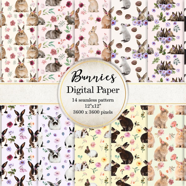 Show Rabbit Seamless - Etsy