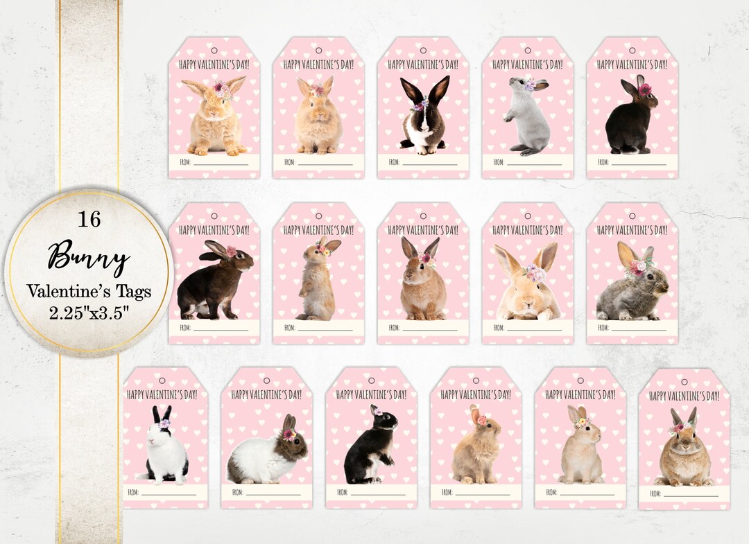 16 Valentines Bunny Gift Tags, Happy Valentines's Tags, Bunny Tags ...