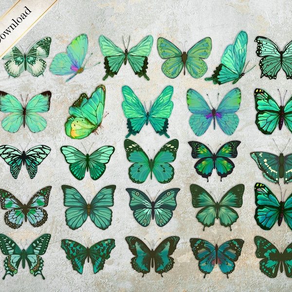 Mint Green Butterfly - Etsy