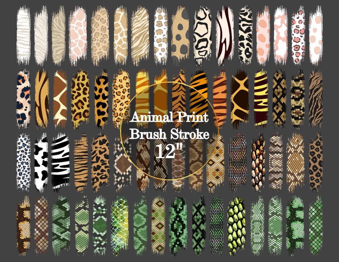 Animal Print Brush Stroke Clipart: Safari PNG Graphics (digital ...