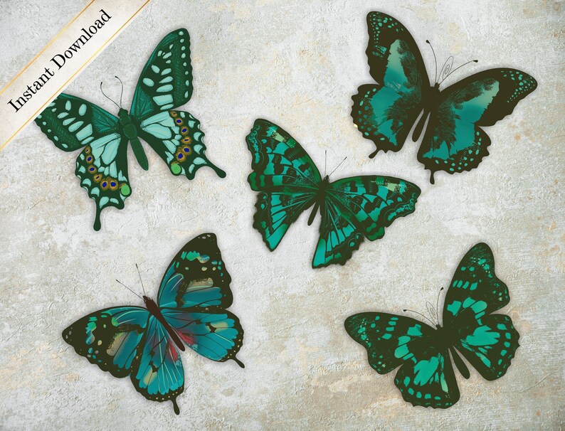 Mint Green Butterfly Clipart: PNG Graphics Image Pack (commercial Use ...