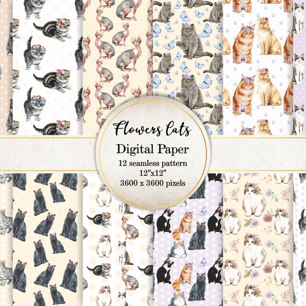 Cat Papers - Etsy