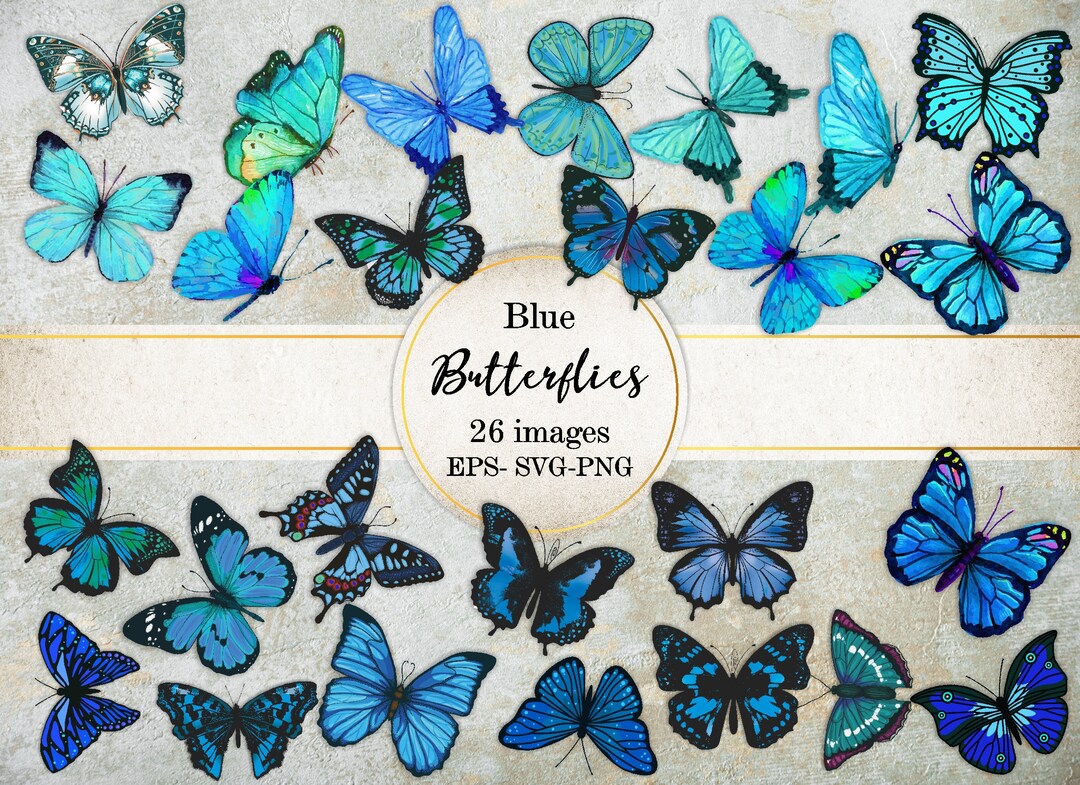 Different Blue Butterflies Image Collection, Butterflies SVG, Butterfly ...