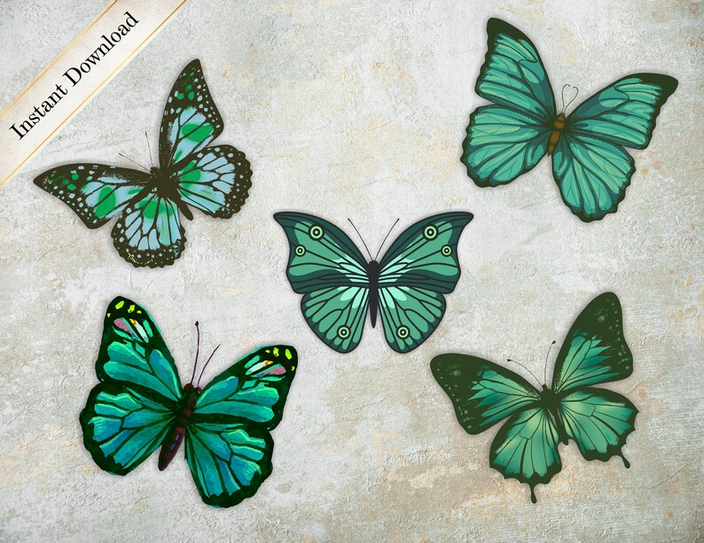 Mint Green Butterfly Clipart: PNG Graphics Image Pack (commercial Use ...