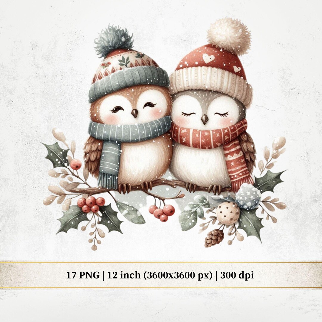 Watercolor Christmas Owl Couple Clipart: Holiday Birds PNG (digital ...