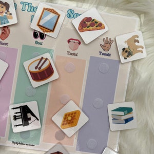 Five Senses Sorting Activity, Five Senses Game for Kids, 5 Senses ...