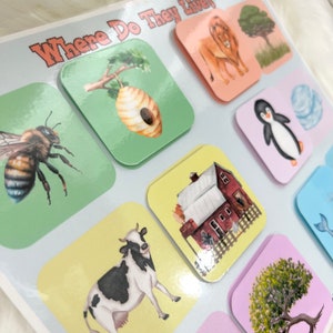 Animal Habitat Activity - Habitat Sorting Activity - Habitat Matching ...