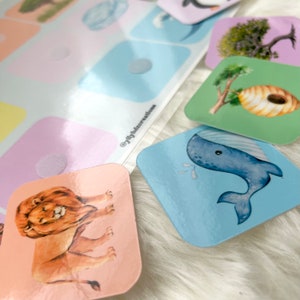 Animal Habitat Activity - Habitat Sorting Activity - Habitat Matching ...