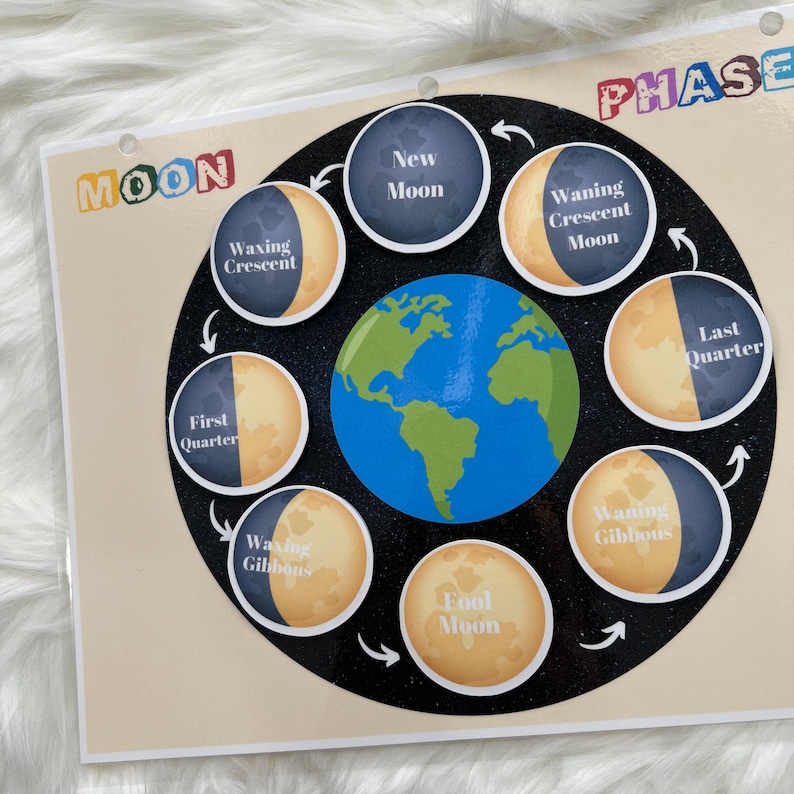 Moon Phases Activity Moon Phases Printable Learning Moon - Etsy