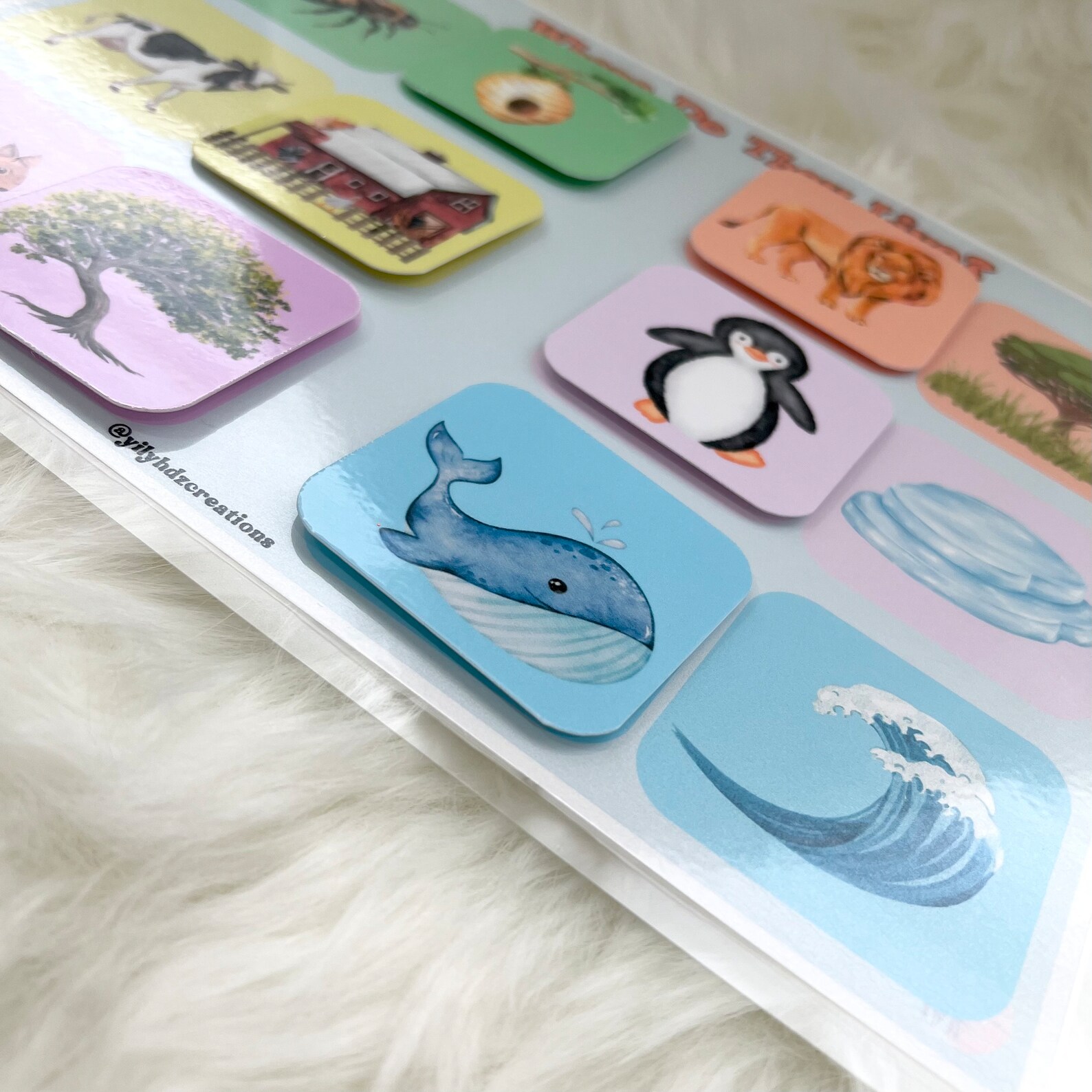 Animal Habitat Activity Habitat Sorting Activity Habitat Matching ...