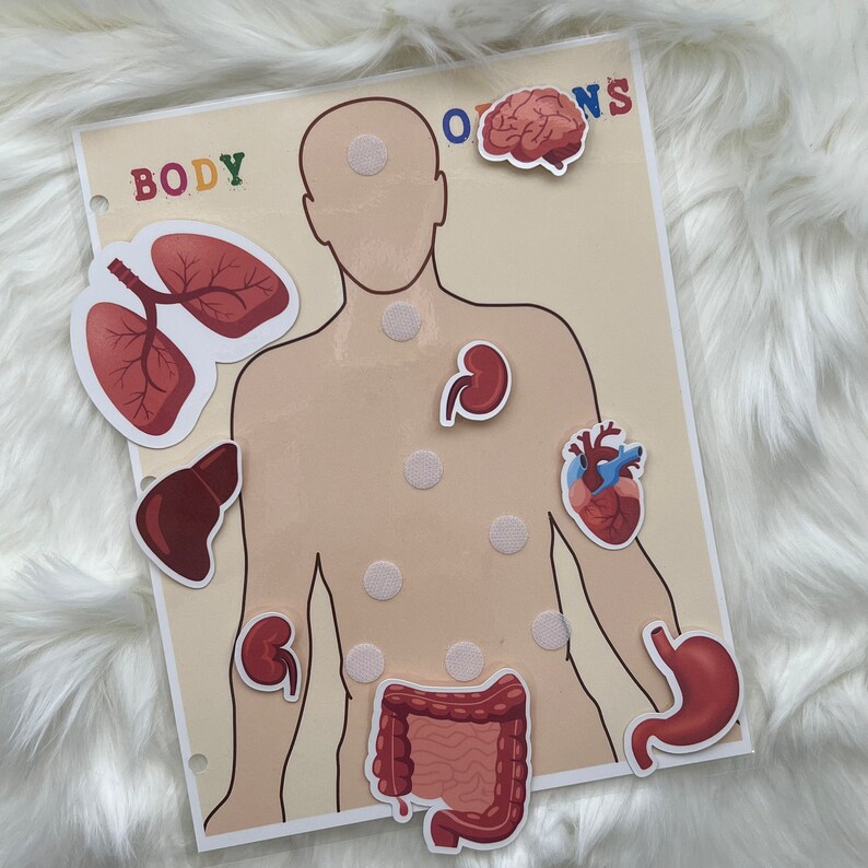 Body Parts Matching Activity Body Parts Matching Activity Printable ...