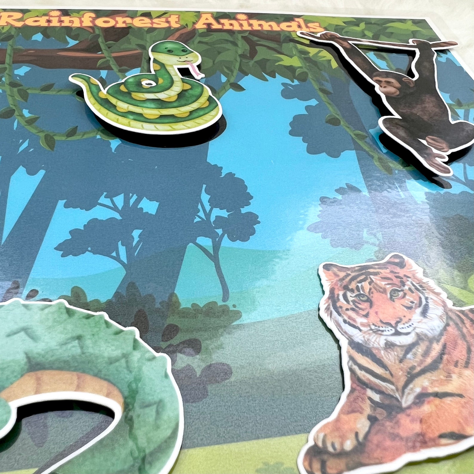 Rainforest Animals Printable Animal Matching Activity Match the Animals ...