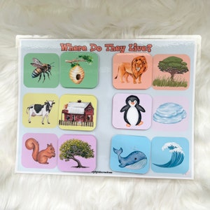 Animal Habitat Activity - Habitat Sorting Activity - Habitat Matching ...