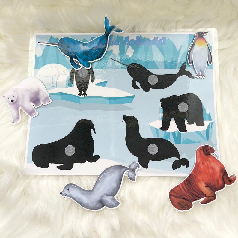 Polar Animals Preschool Arctic Animals Matching Animals - Etsy