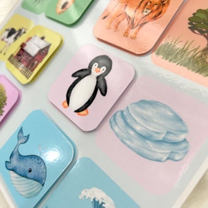 Animal Habitat Activity - Habitat Sorting Activity - Habitat Matching ...