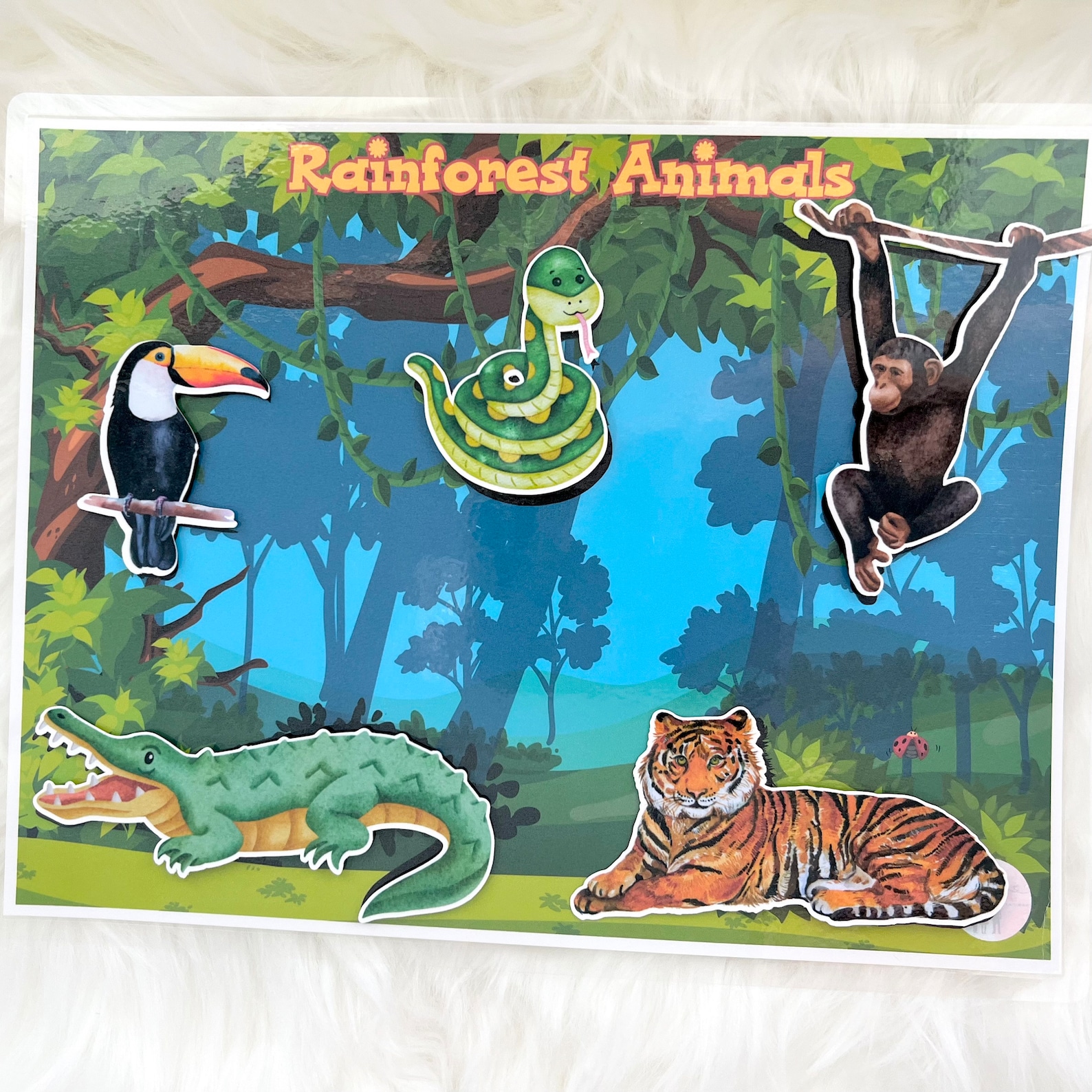 Rainforest Animals Printable - Animal Matching Activity - Match the ...