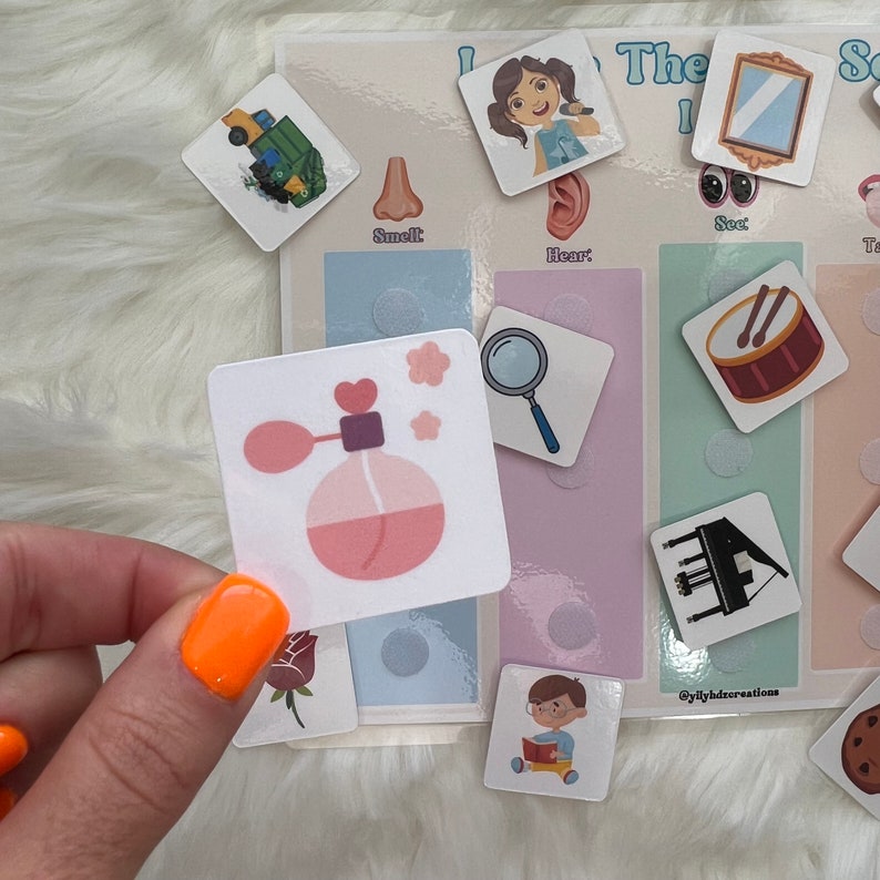 Five Senses Sorting Activity, Five Senses Game for Kids, 5 Senses ... Five Senses Sorting Activity, Five Senses Game for Kids, 5 Senses ...