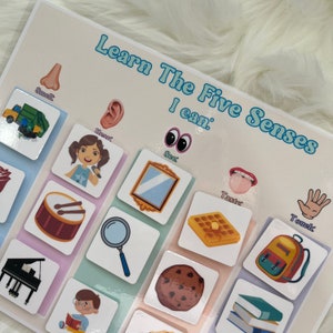 Five Senses Sorting Activity, Five Senses Game for Kids, 5 Senses ...