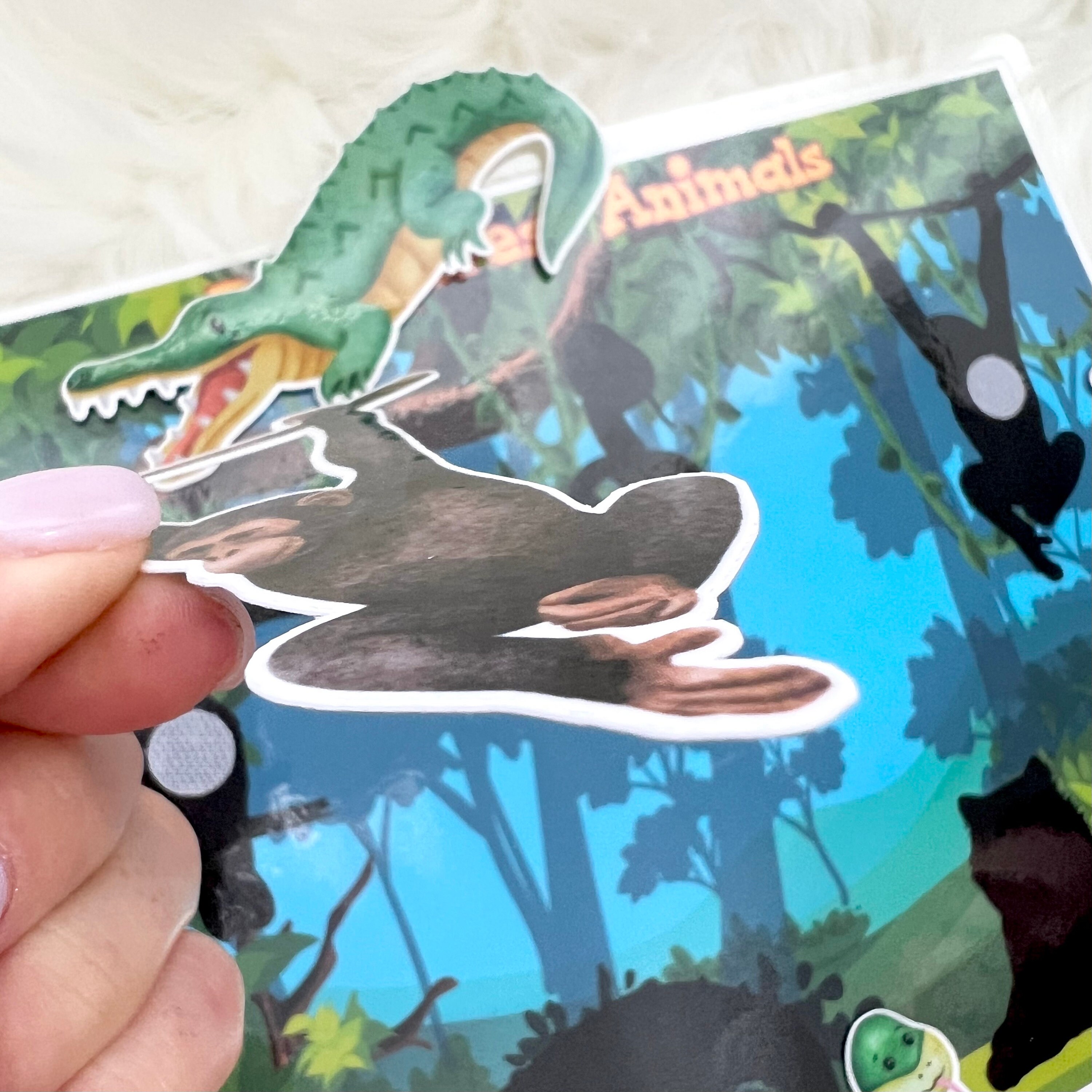 Rainforest Animals Printable - Animal Matching Activity - Match the ...