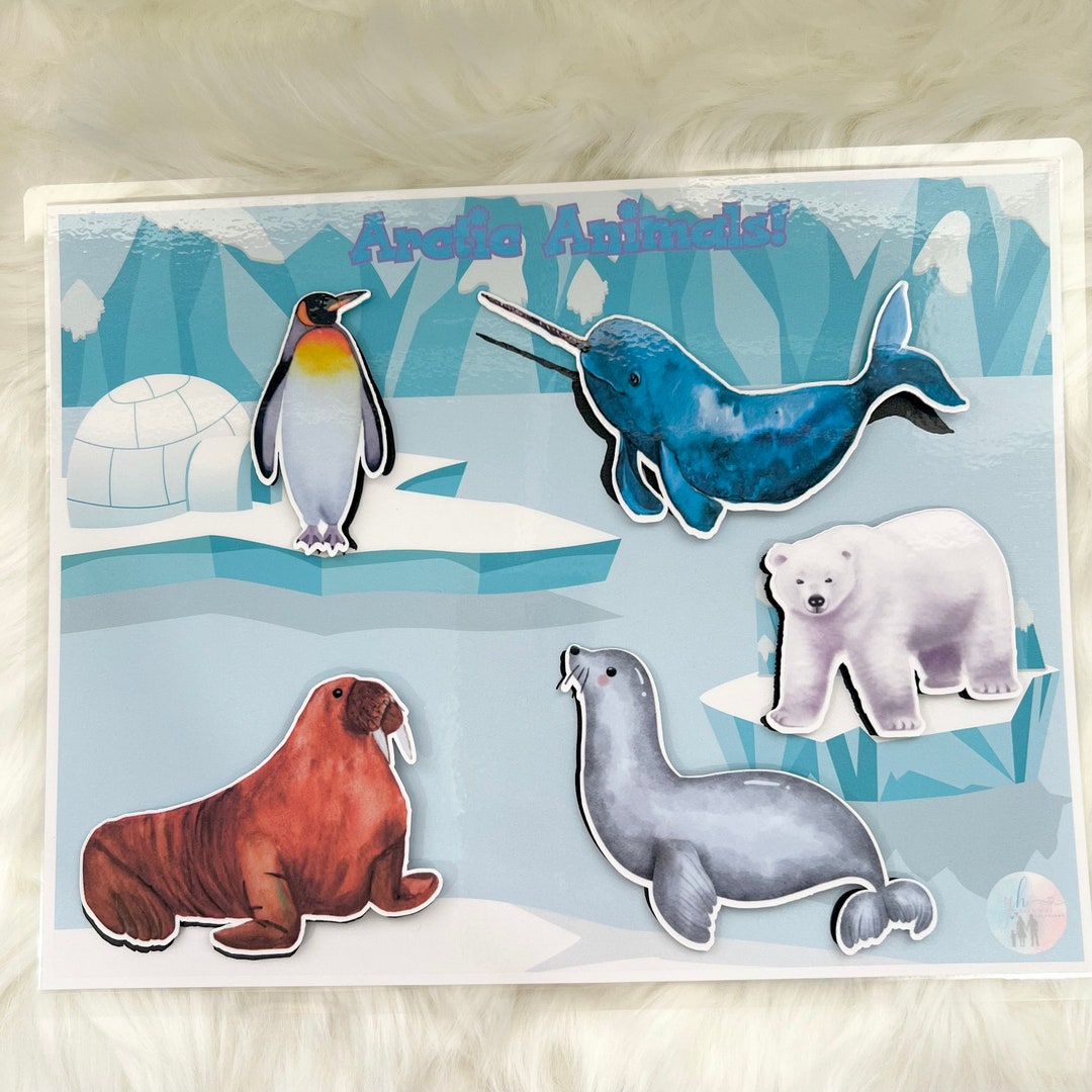Polar Animals Preschool - Arctic Animals - Matching Animals Game ...