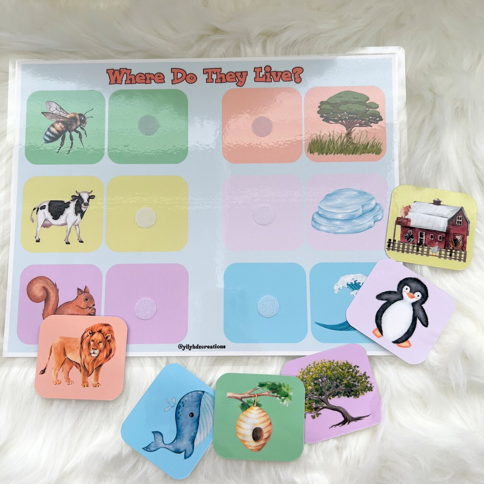 Animal Habitat Activity Habitat Sorting Activity Habitat Matching ...