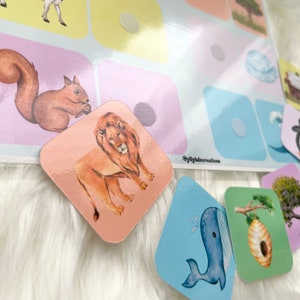 Animal Habitat Activity - Habitat Sorting Activity - Habitat Matching ...