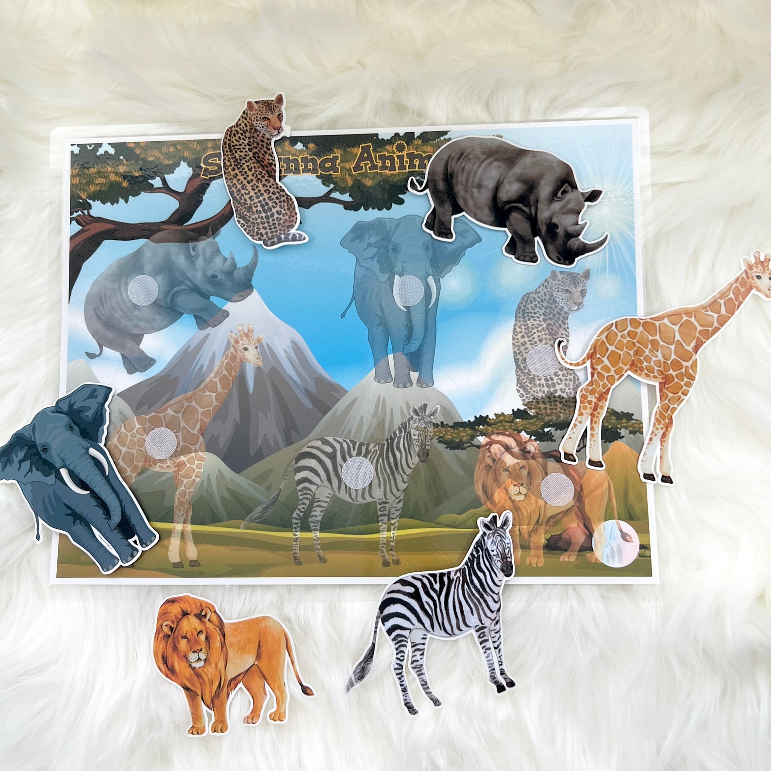 Shadow Matching Animals Shadow Matching Activity Animals Printable ...