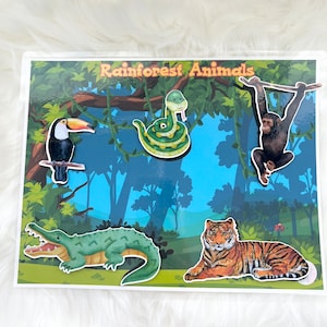 Rainforest Animals Printable - Animal Matching Activity - Match the ...