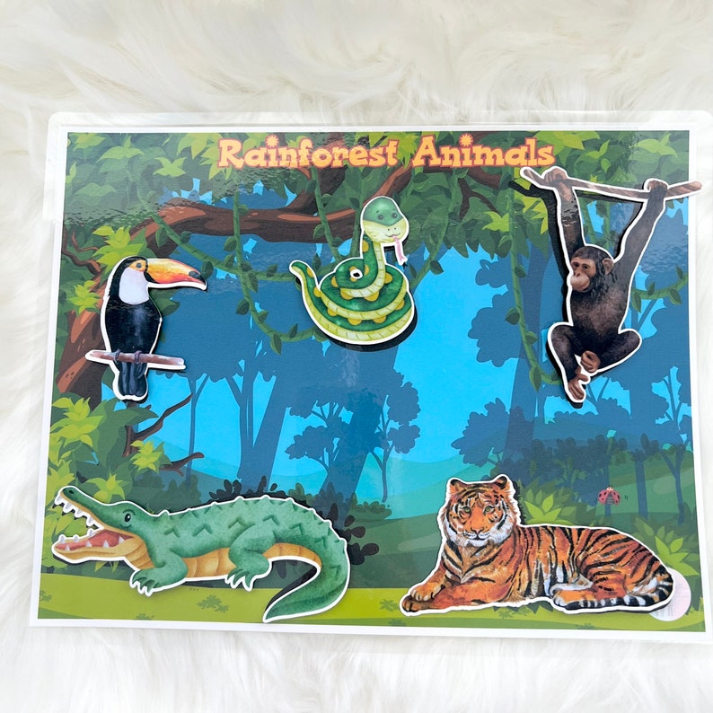 Rainforest Animals Printable - Animal Matching Activity - Match the ...
