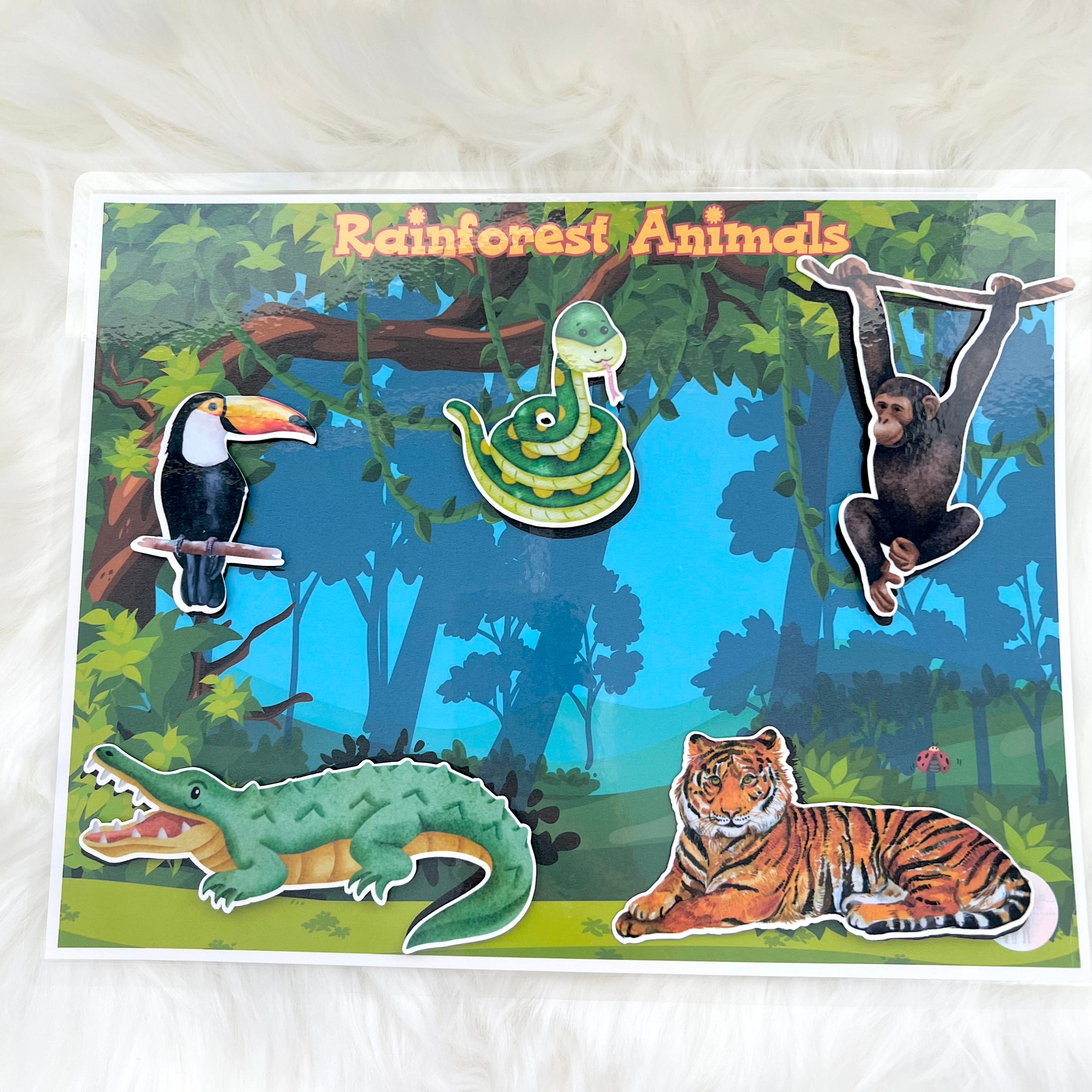 Rainforest Animals Printable - Animal Matching Activity - Match the ...