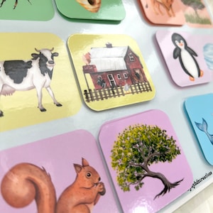 Animal Habitat Activity - Habitat Sorting Activity - Habitat Matching ...