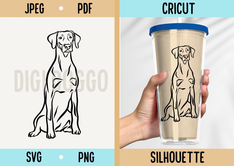 Doberman Outline SVG/ Doberman Floppy Ears Digital Download - Etsy UK