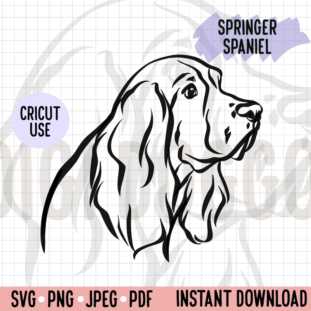 Springer Spaniel Side View PNG/ Dog Face Outline Art SVG/ Cricut ...