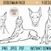 Doberman Dog Outline SVG/ Dog Breed Digital Download PNG/ Doberman ...