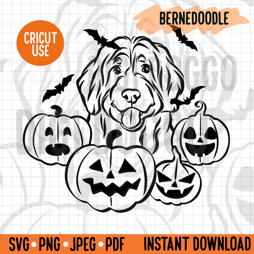 Dog Outline Halloween SVG: Bernedoodle Breed Pumpkin Design (digital ...