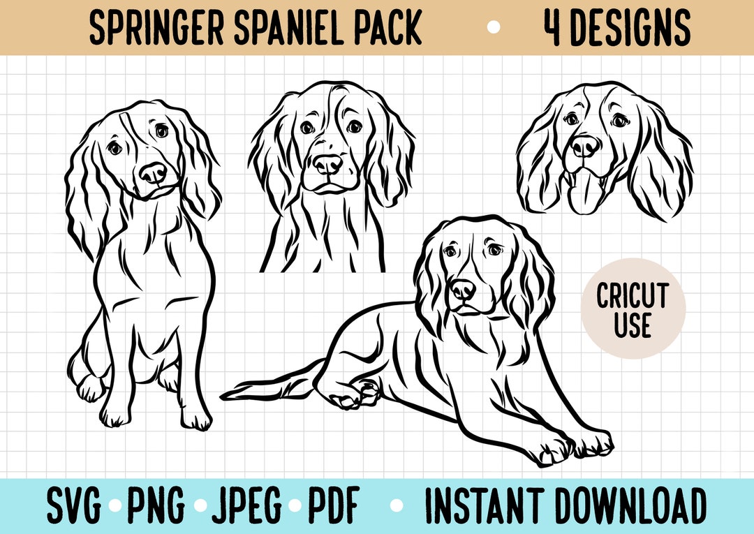 Springer Spaniel Outline SVG: Dog Vector Clipart (digital File) - Etsy