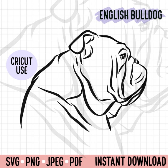 Hoe Teken Je Een Bulldoggezicht Voor Kinderen