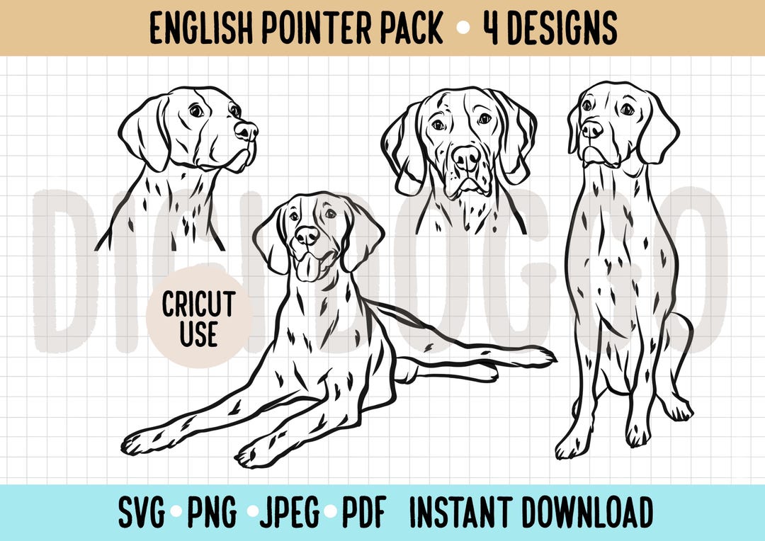 English Pointer Outline: Dog Clipart Vector (digital Download) - Etsy