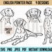 English Pointer Outline: Dog Clipart Vector (digital Download) - Etsy