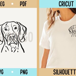 English Pointer Outline SVG/ Pointer Dog Digital Download PNG/ Dog ...