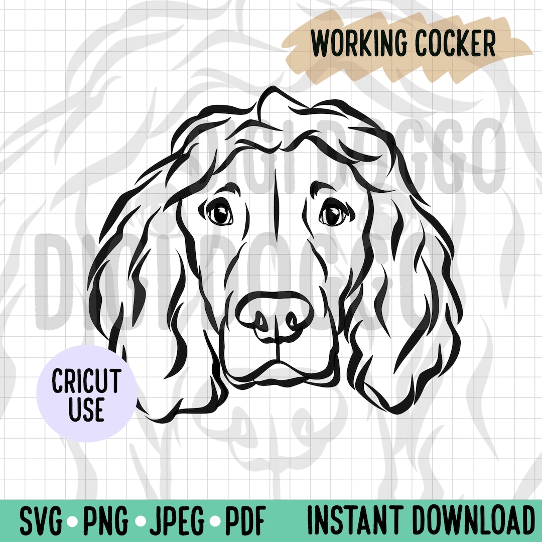 Working Cocker Spaniel Outline Svg/working Cocker Face Line Art Vector ...