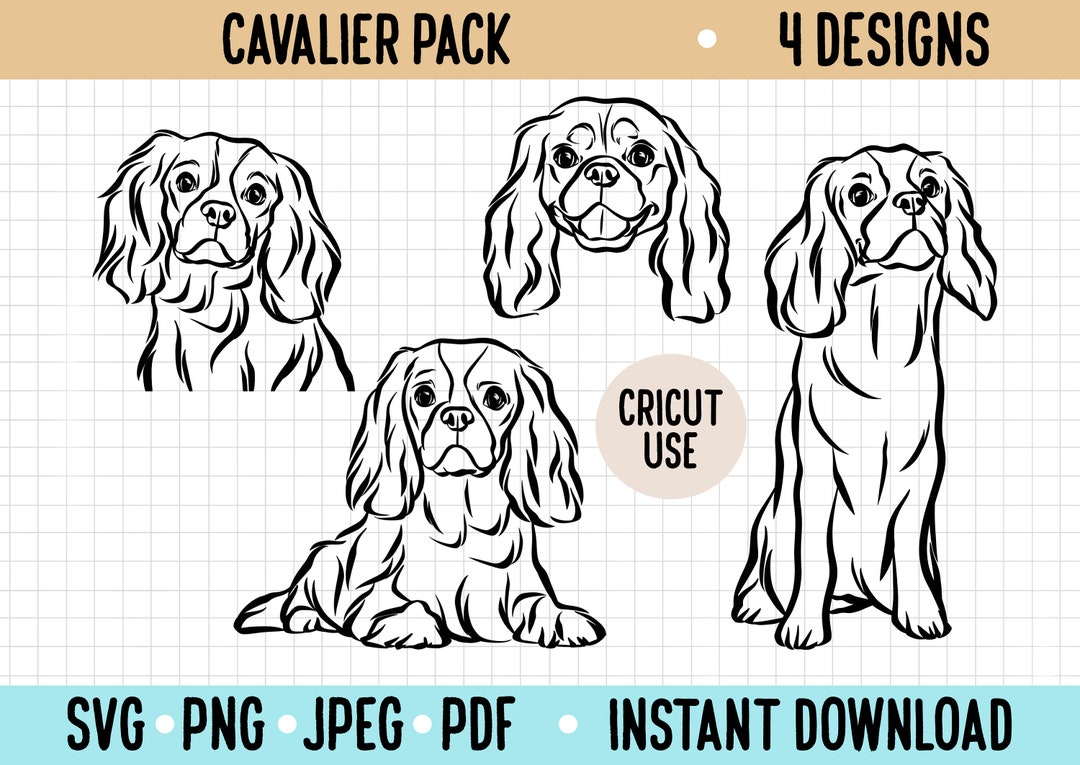 Cavalier King Charles Spaniel Outline SVG/ Cavalier Digital Download ...