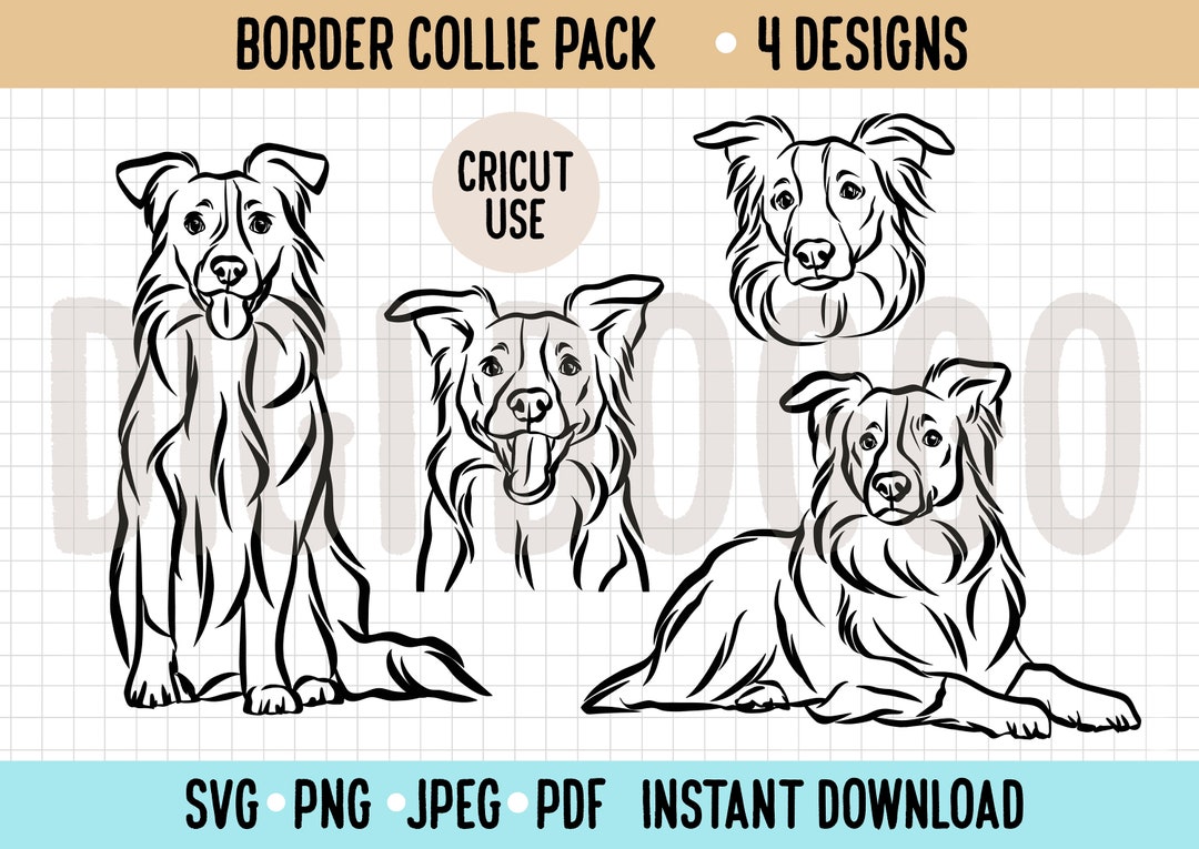 Border Collie Outline SVG/ Dog Line Drawing Vector File/ Cricut ...