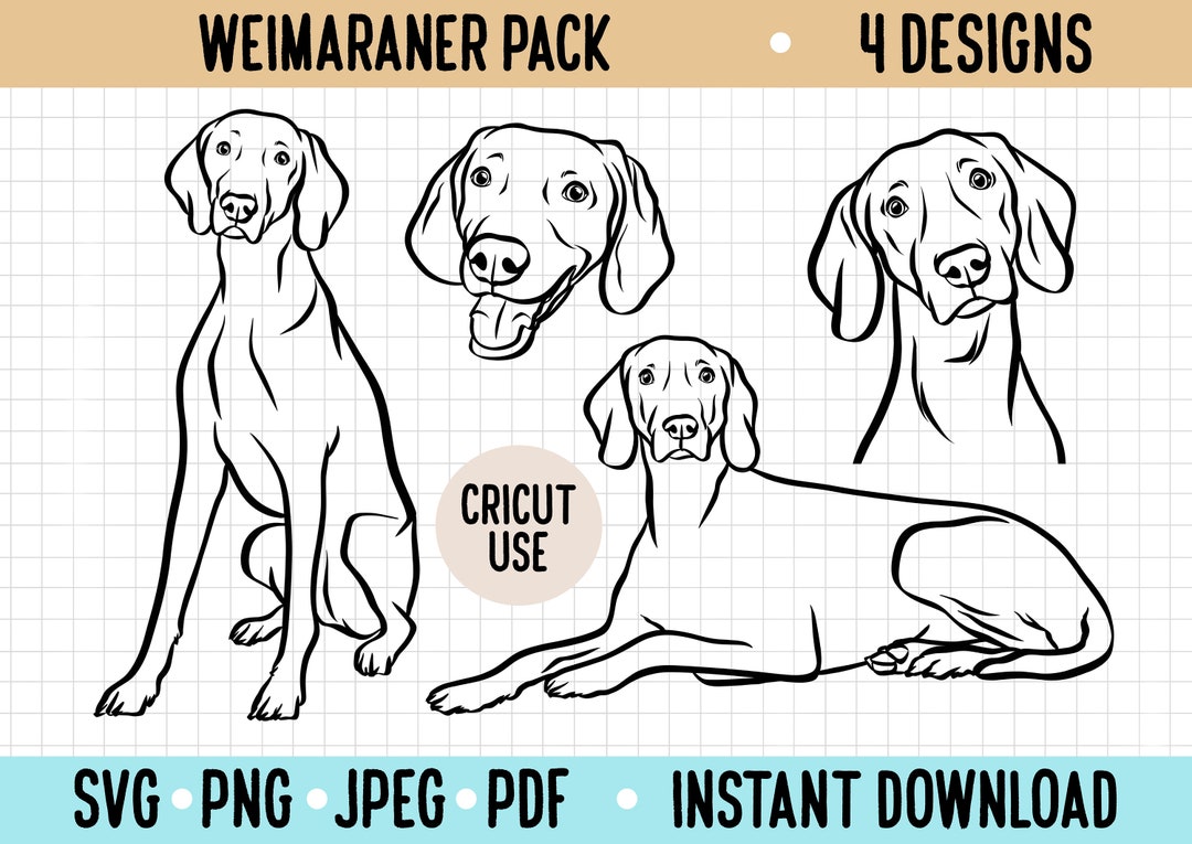 Weimaraner Dog Outline SVG: Line Art Clipart (digital Download) - Etsy