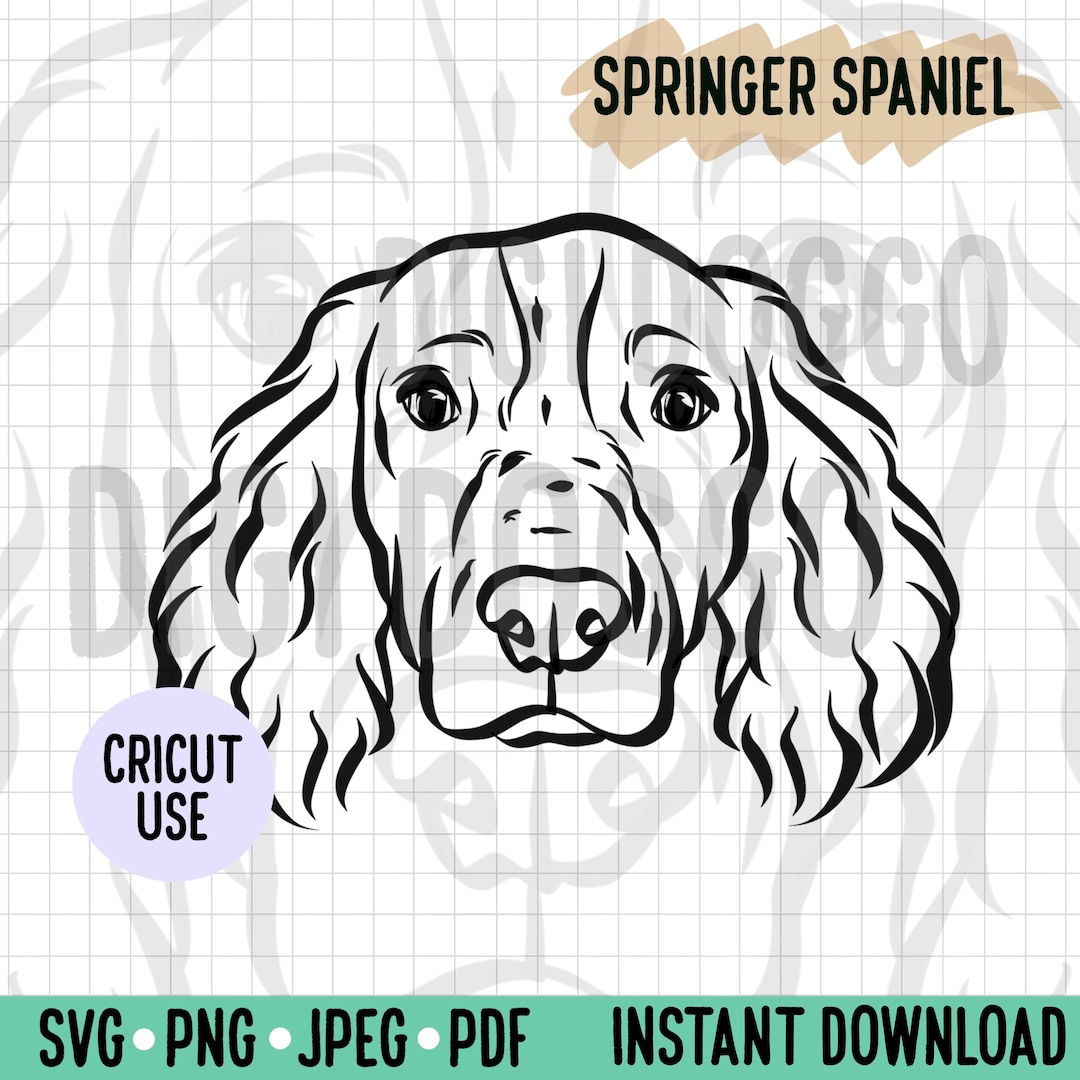 Springer Spaniel Outline SVG/ Canine Face Line Art Vector File/springer ...
